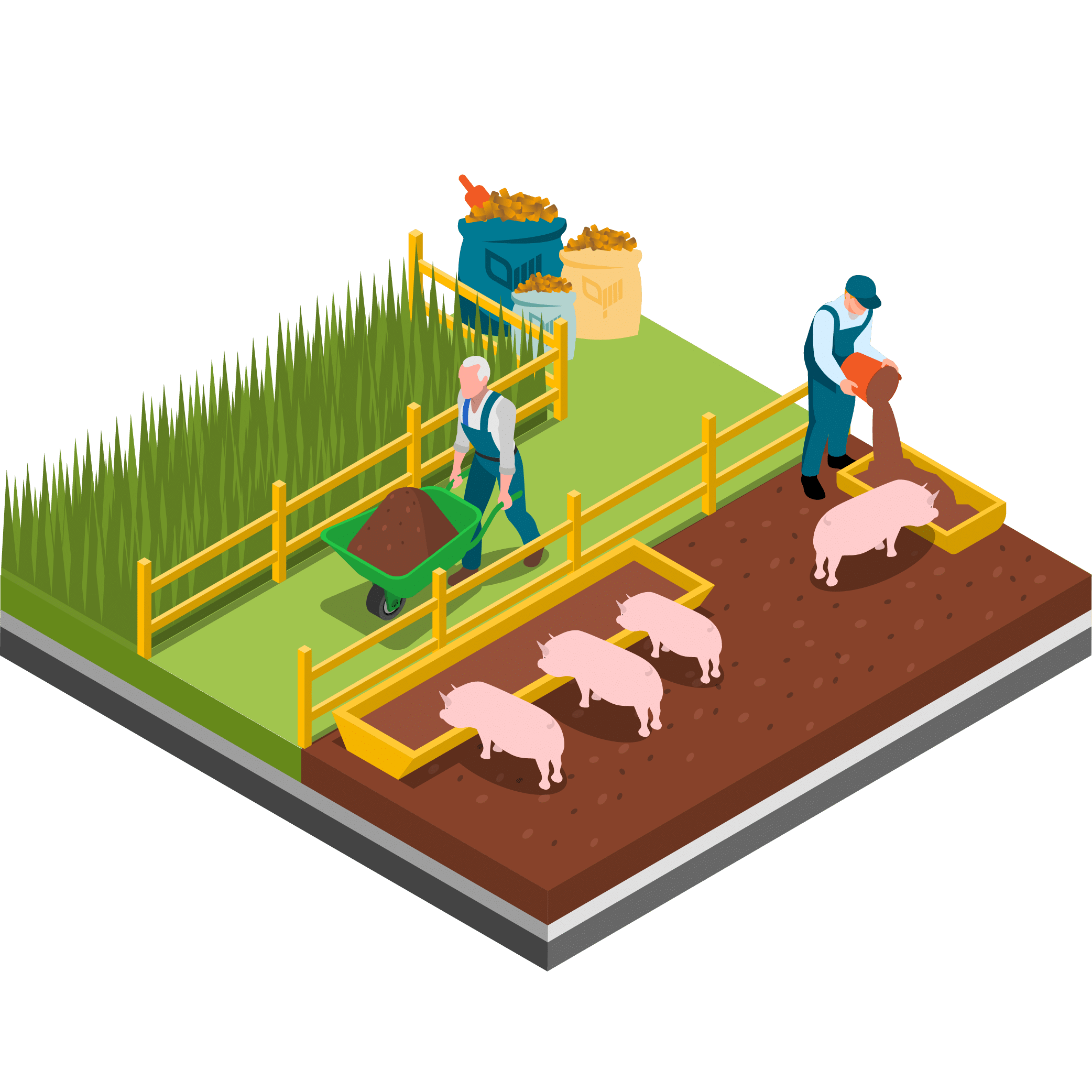 Animal Feed Software Feed Management Software Primetics